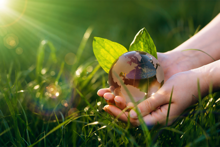 Carbon Literacy Training Programmes – Keep Northern Ireland Beautiful ...